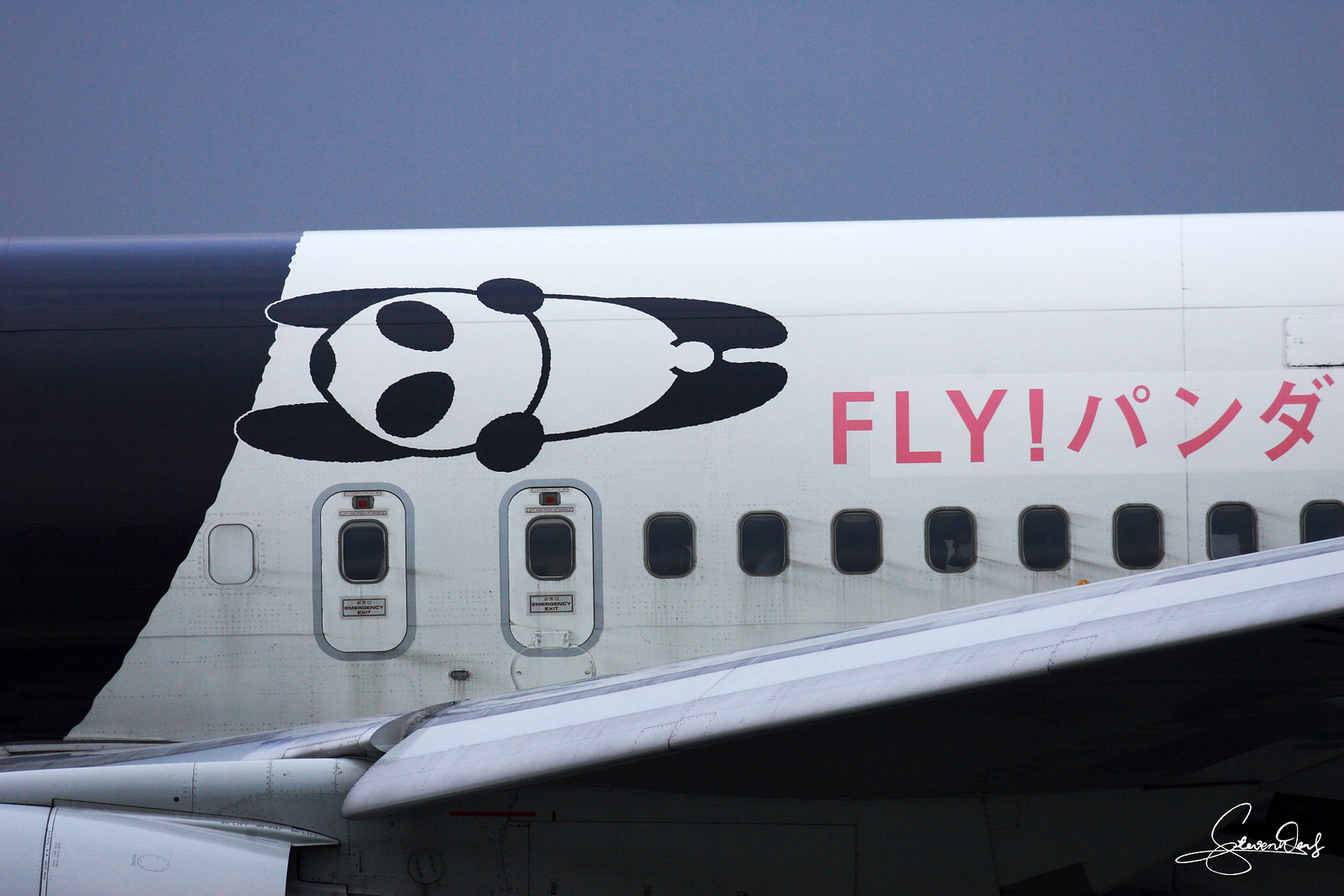 All Nippon Airways (ANA) Fly!Panda Sonderlackierung - Flycity.de