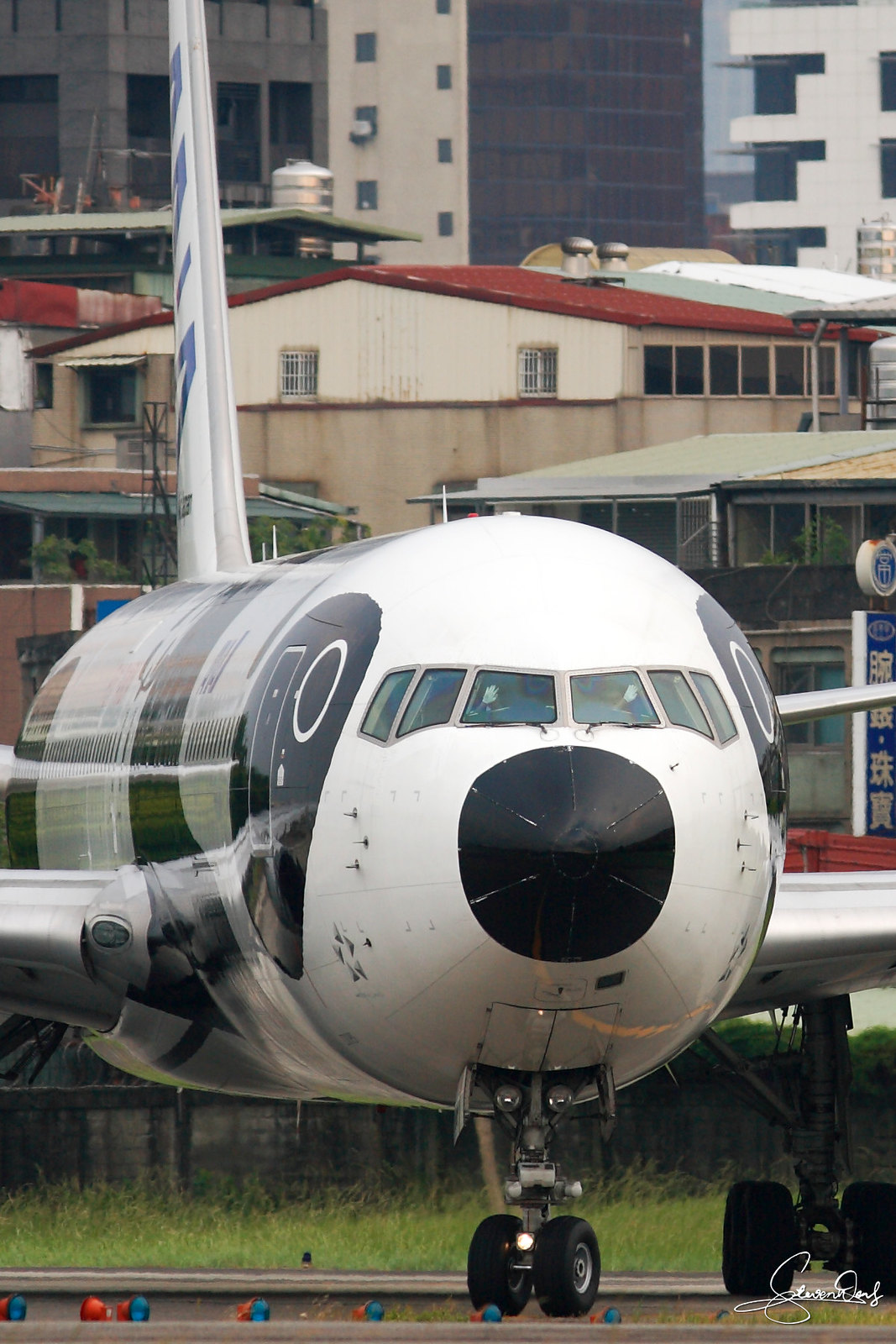 All Nippon Airways (ANA) Fly!Panda Sonderlackierung - Flycity.de
